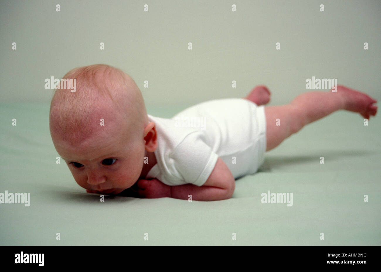 young baby lying on tummy trying to push up head Stock Photo - Alamy