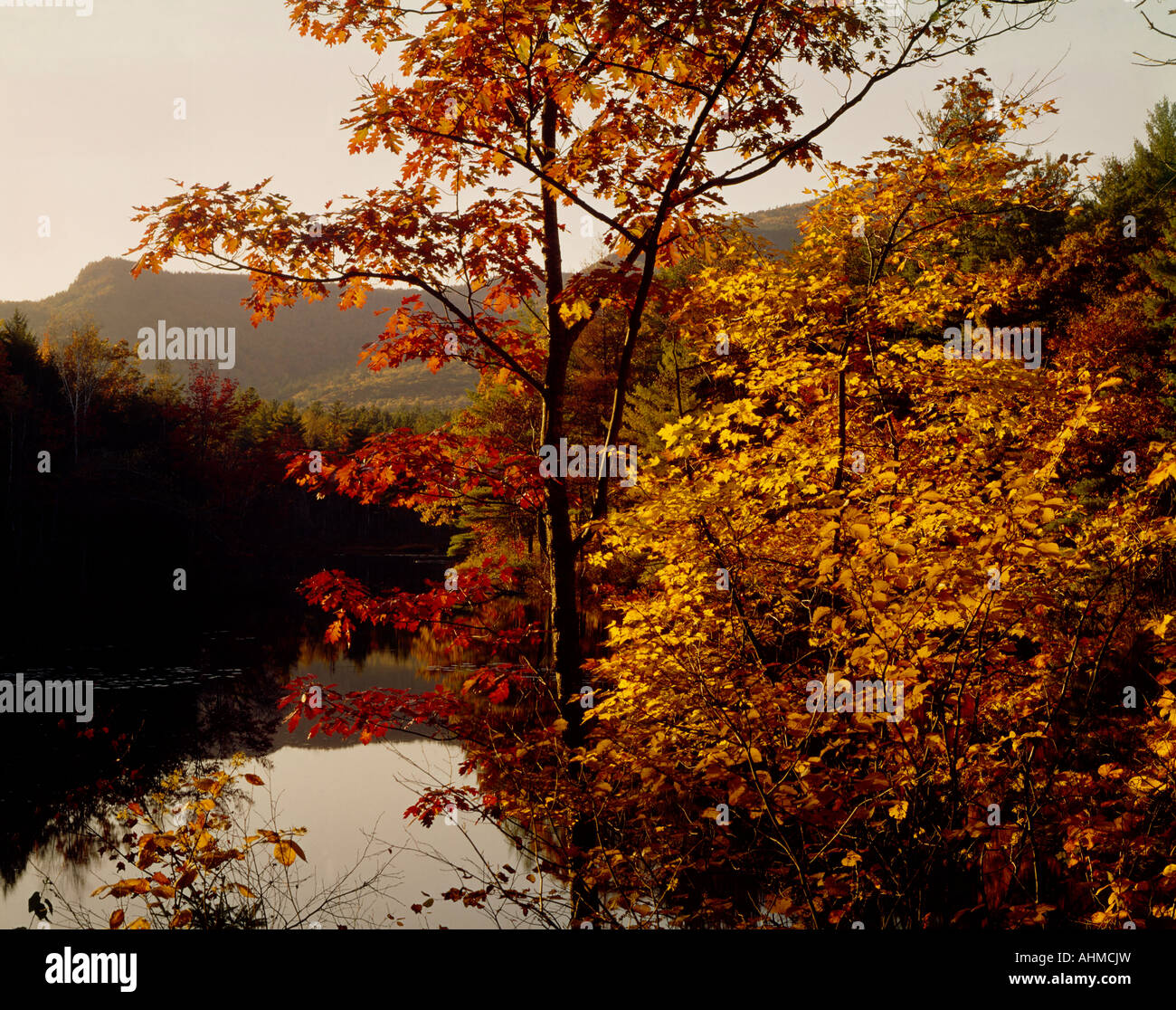 Red Eagle Pond in New Hampshire shows off Autumn colors Stock Photo - Alamy