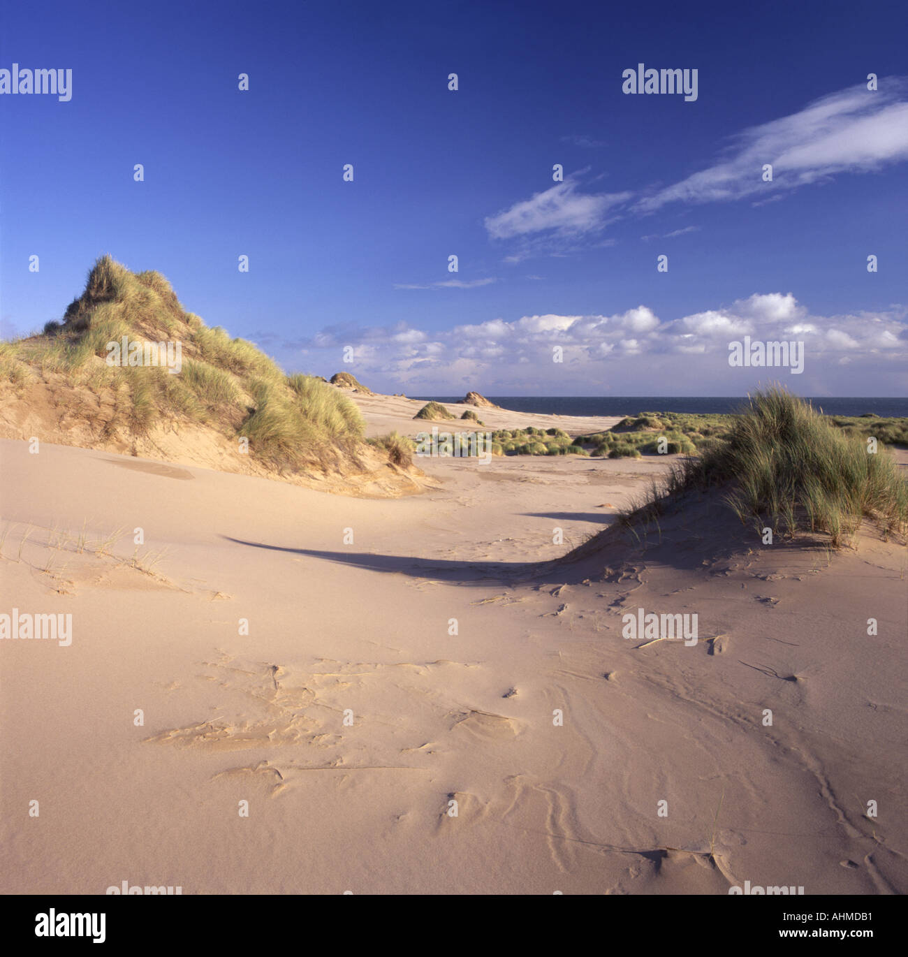 Sands of Forvie Stock Photo - Alamy