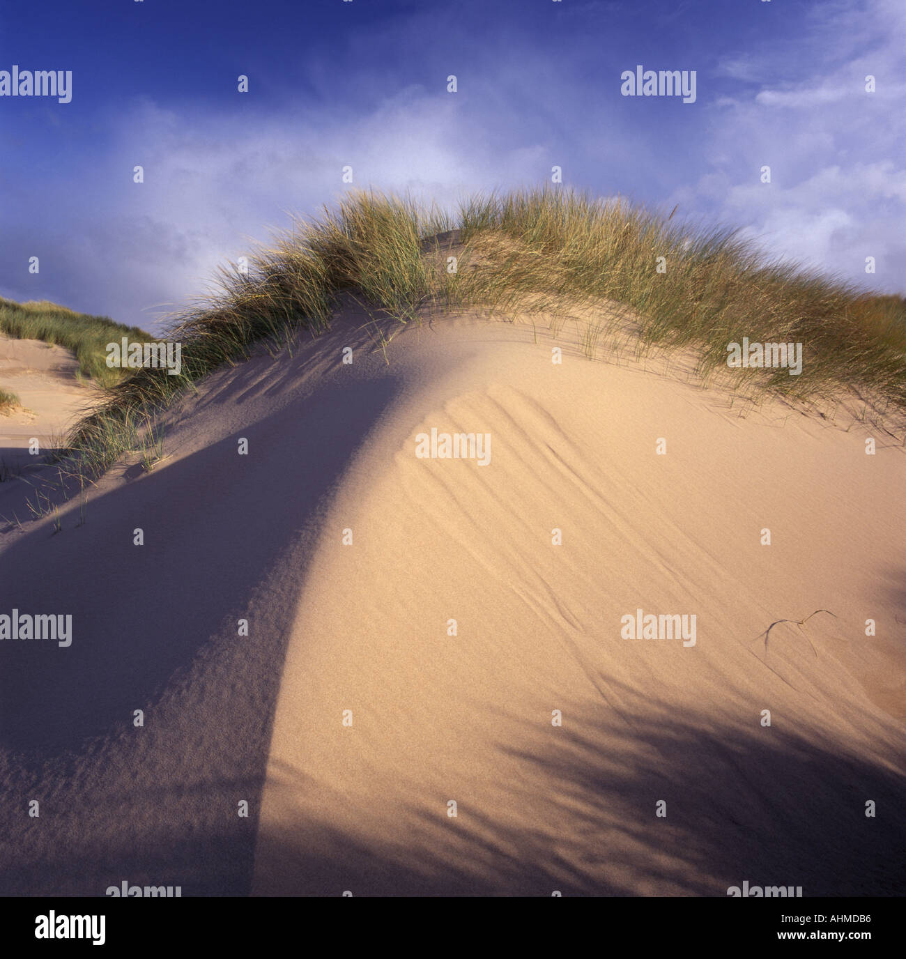 Sands of Forvie Stock Photo - Alamy