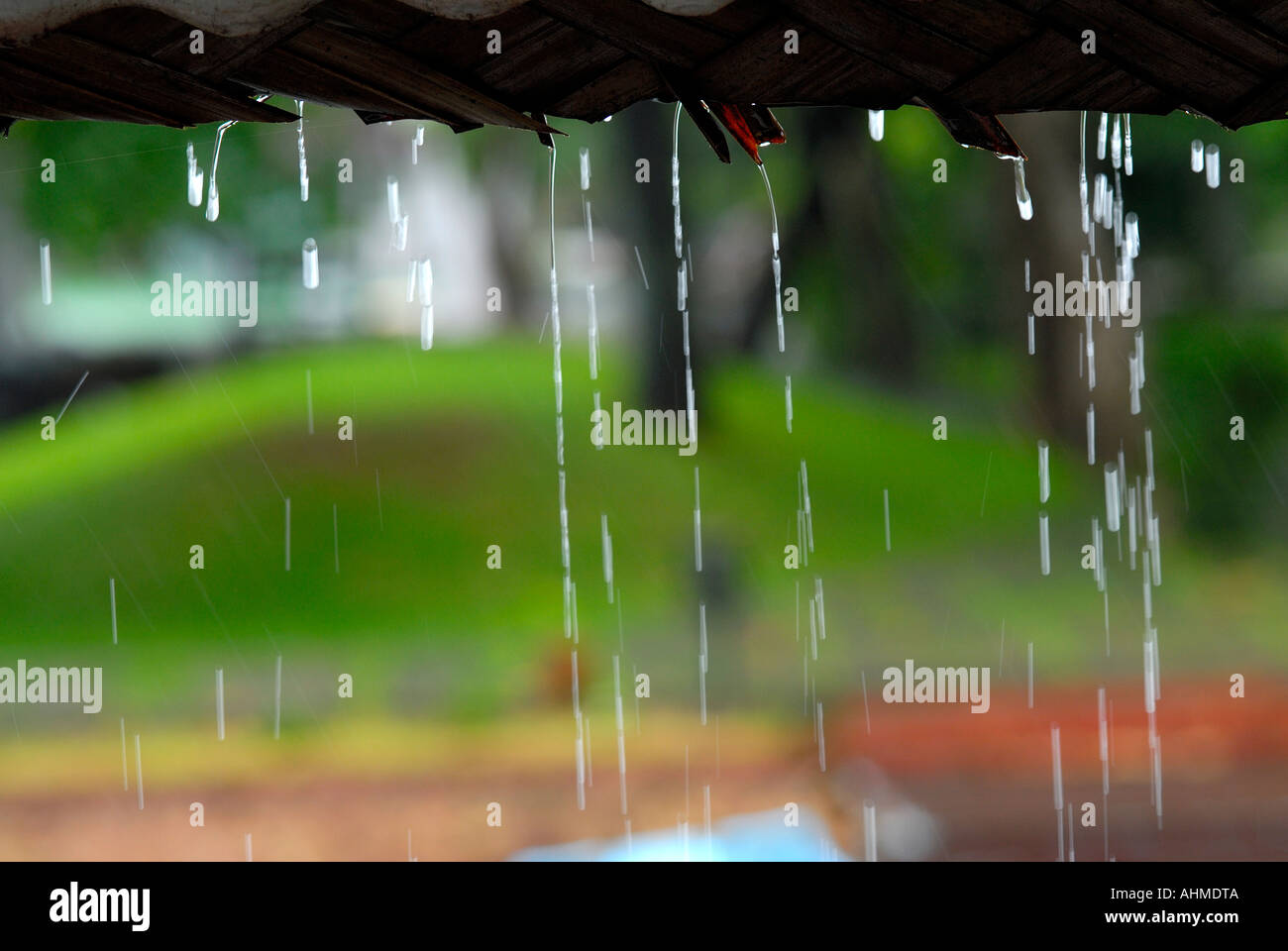 MONSOON IN KERALA Stock Photo - Alamy
