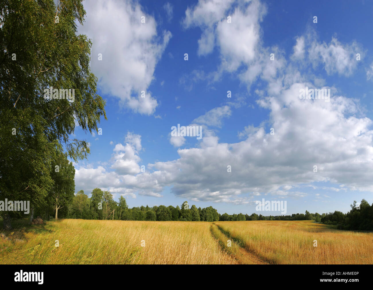Russia Open Country Stock Photo - Alamy