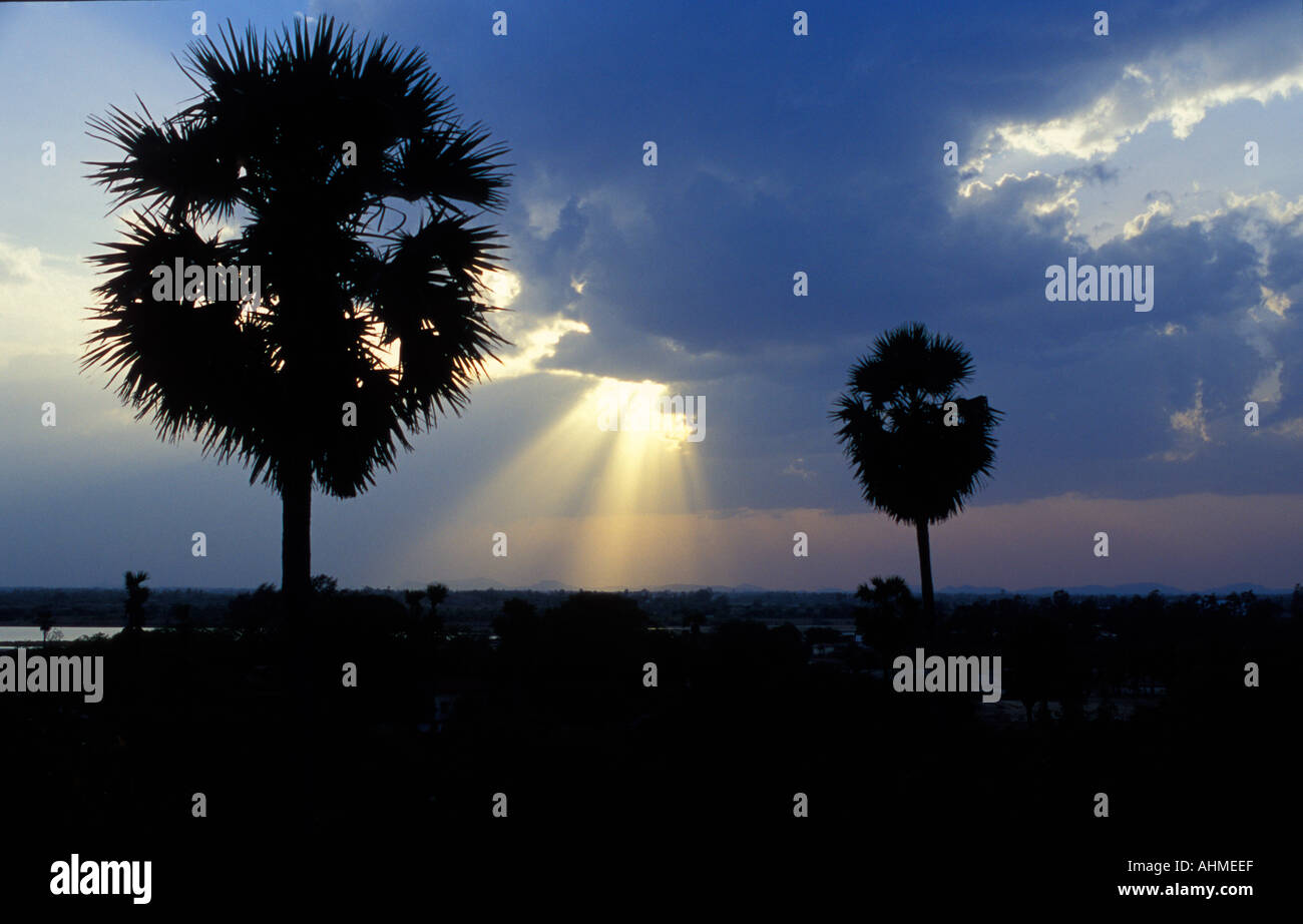 India Tamil Nadu Mamallapuram Landscape with two Trees Stock Photo - Alamy