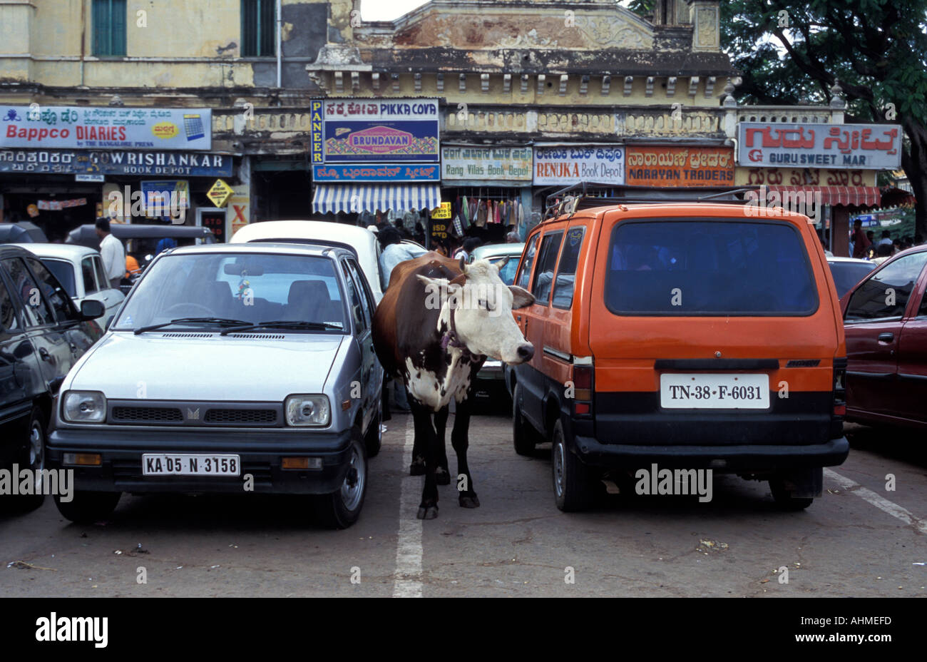 India Karnataka Mysore Cow and cars Stock Photo - Alamy