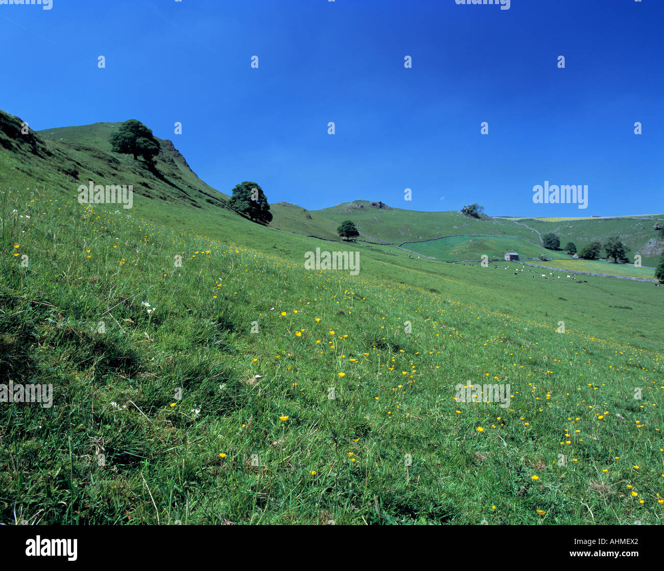 Chrome Hill Earl Sterndale Peak District National Park Derbyshire ...
