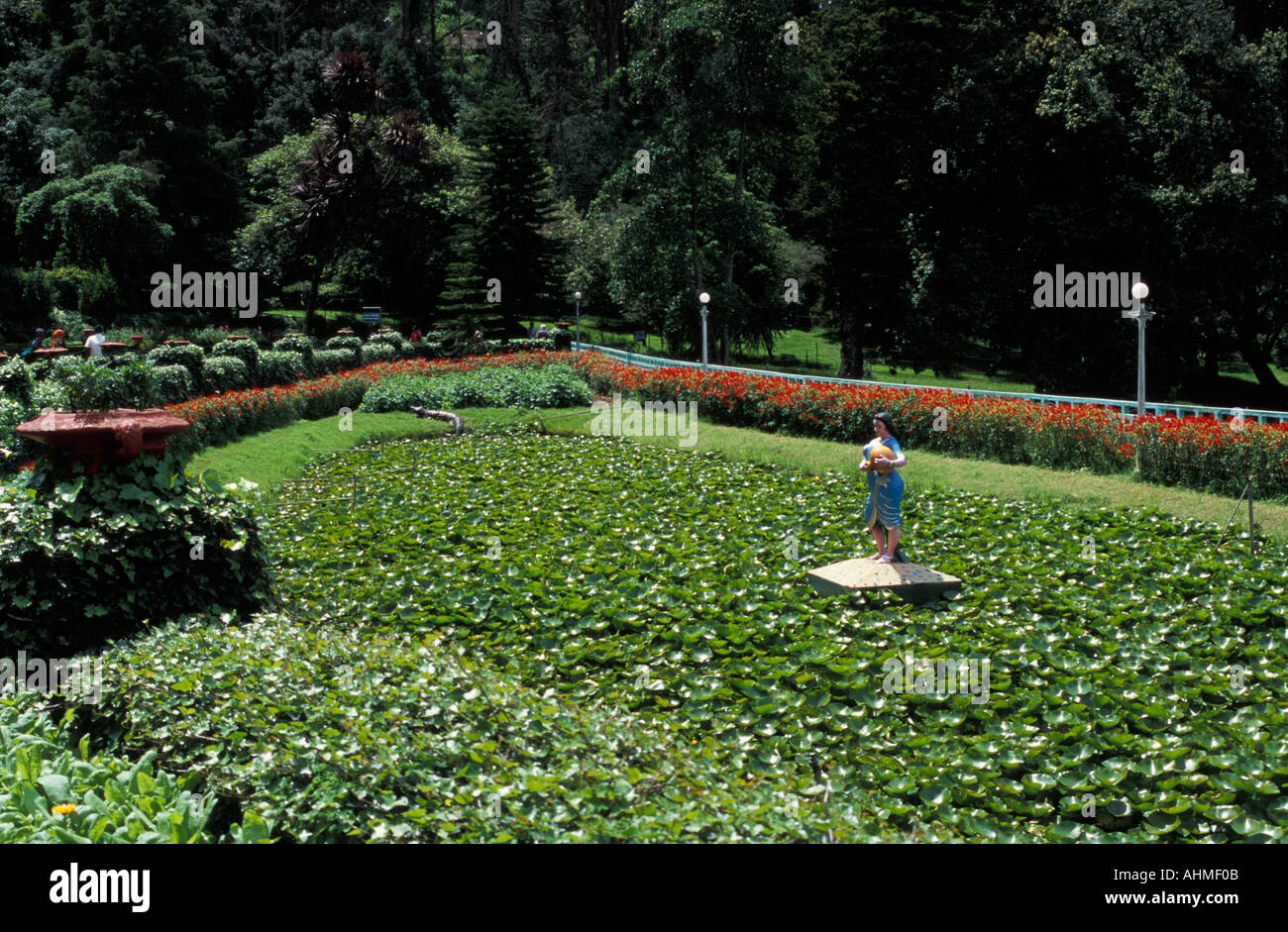 India Tamil Nadu Ooty The Botanical Gardens The Italian Garden Stock ...
