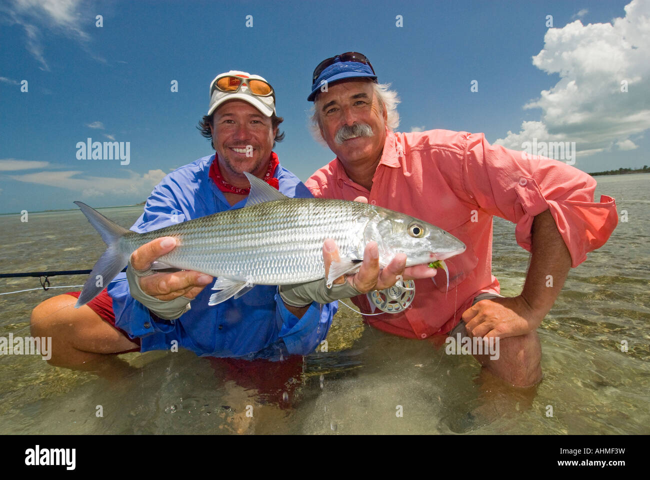 Florida Keys Mature fly- fisherman and guide releasing bonefish caught ...