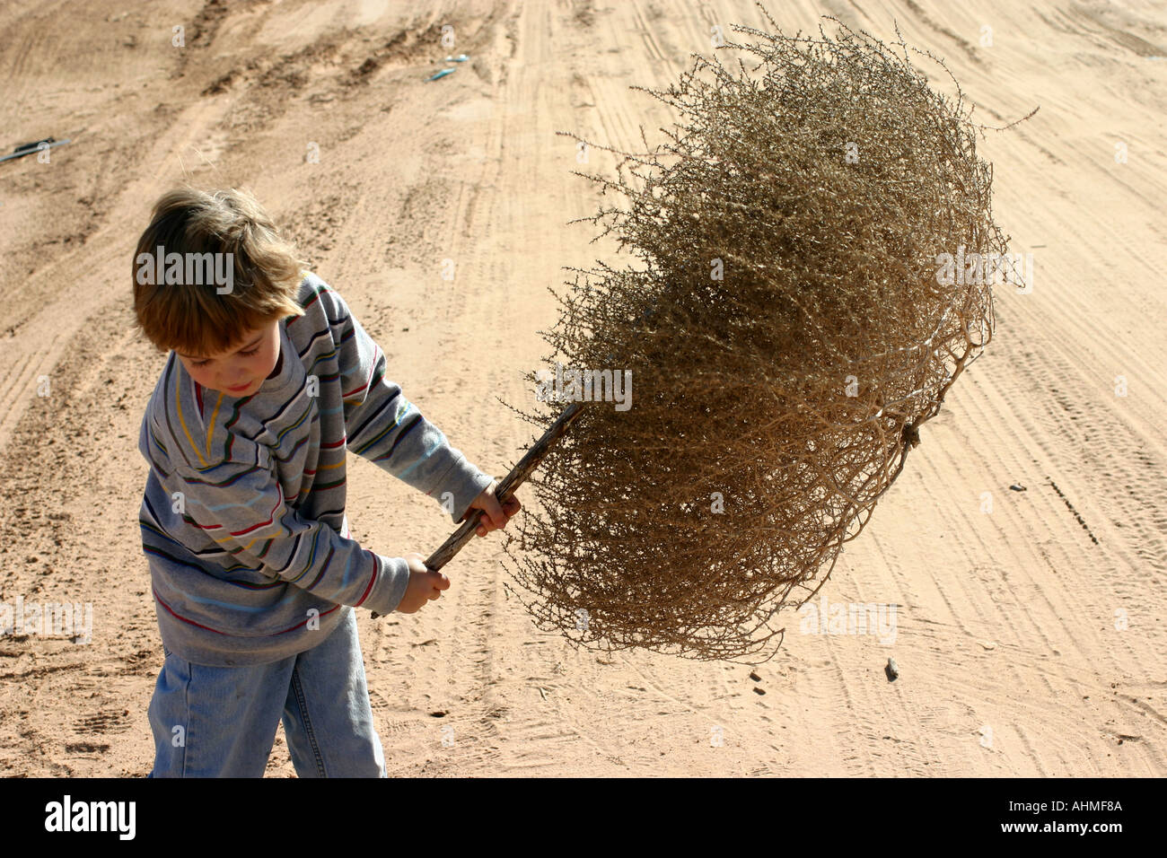 boy playing with tumbleweed Stock Photo - Alamy