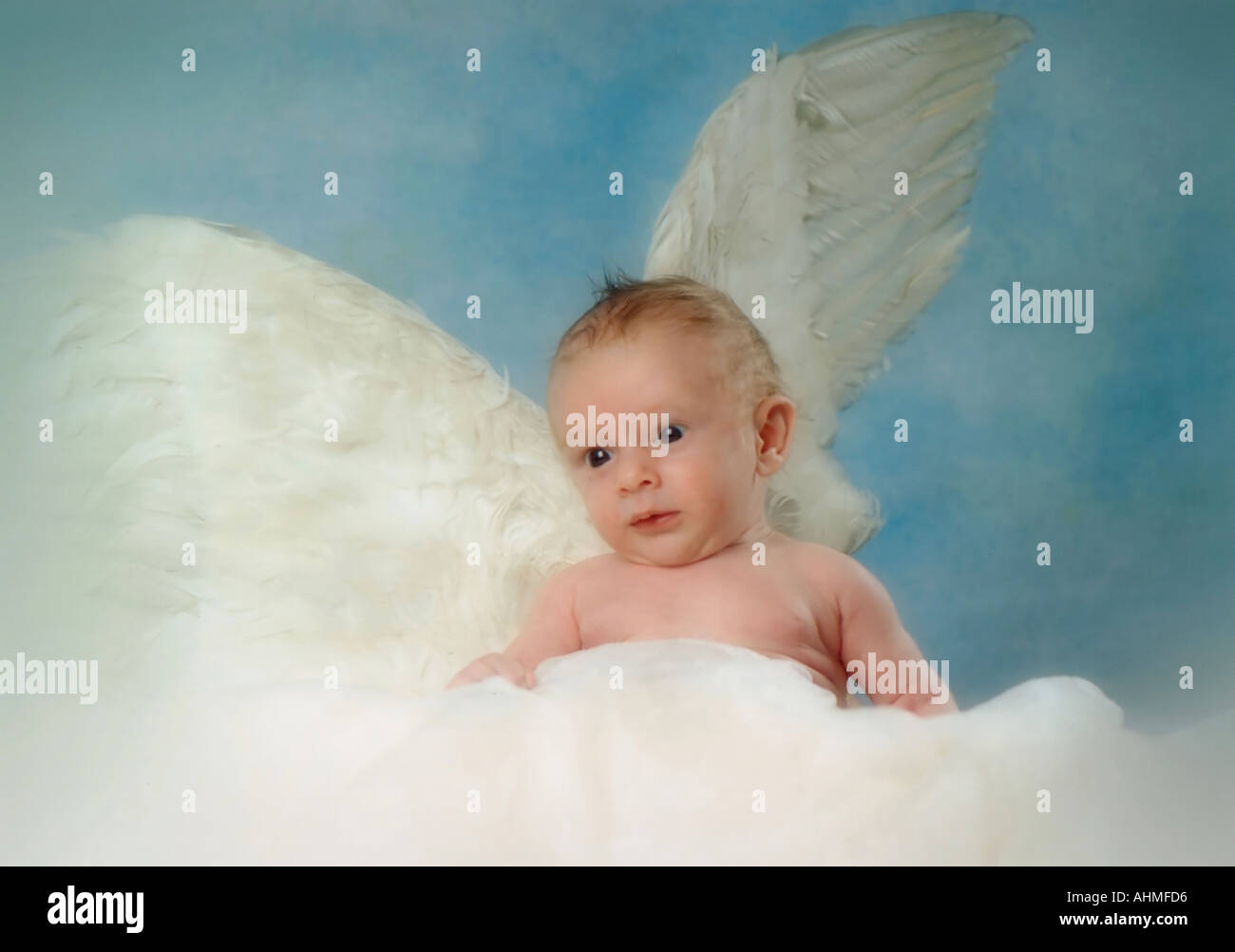 Baby Angel Photography