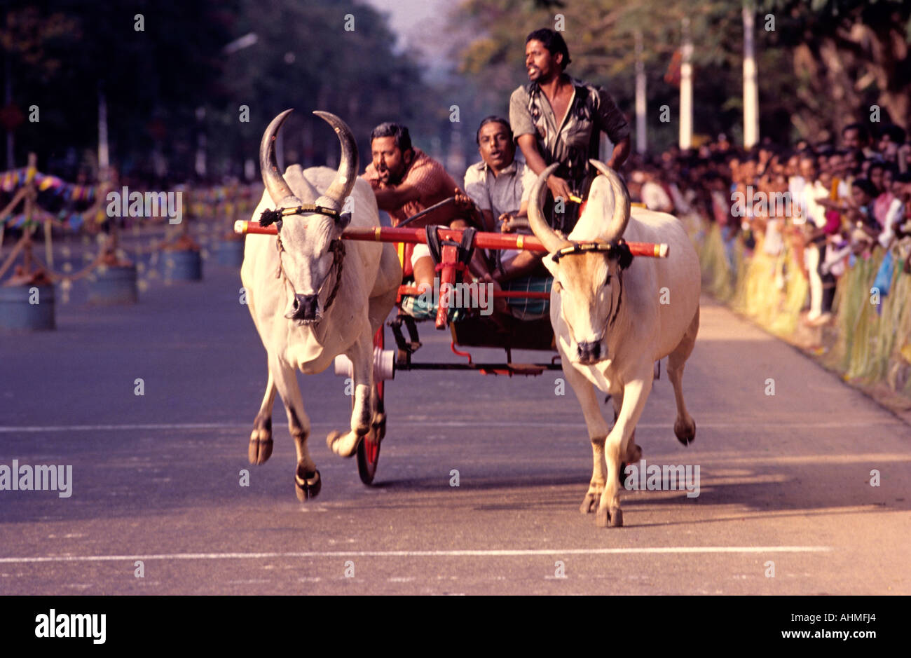 Bullock cart hi-res stock photography and images - Alamy