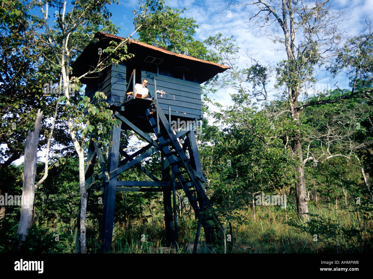 Tiger watchtower hi-res stock photography and images - Alamy