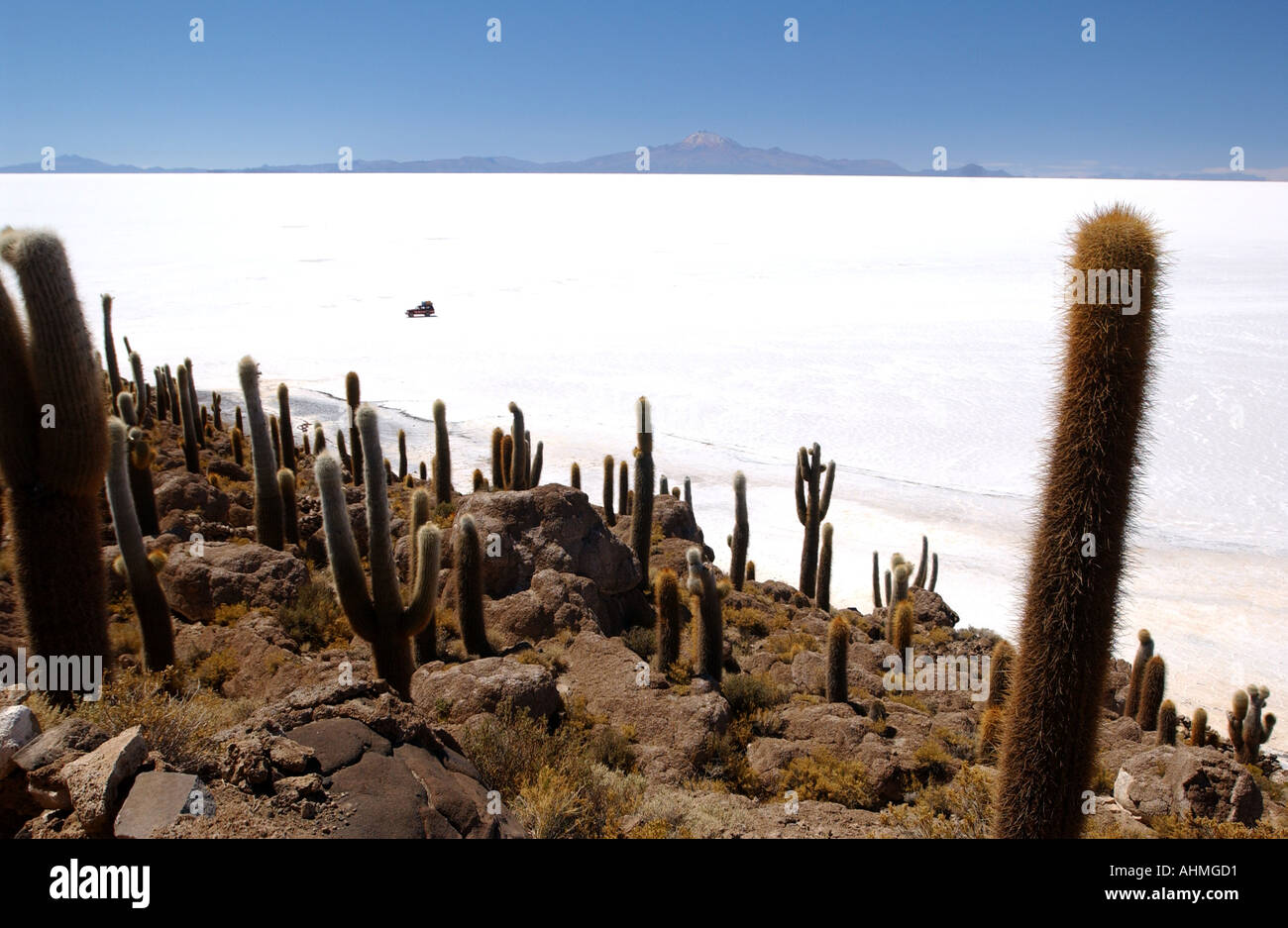 Salar de Uyuni salt flats in Bolivia Viewed from Fish Island Stock ...