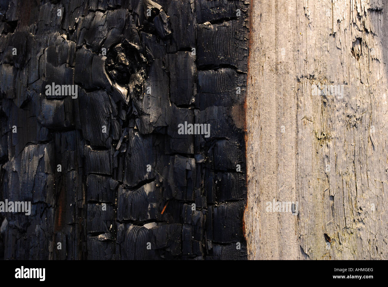 Charred wood is seen on a beach after a bonfire in Surrey, British ...