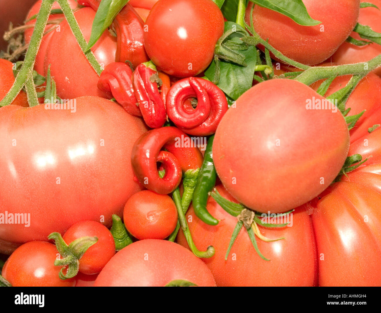 Tomatoes and Chillis 01 Stock Photo - Alamy