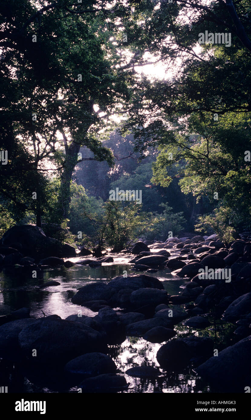 CHINNAR RIVER KERALA Stock Photo - Alamy