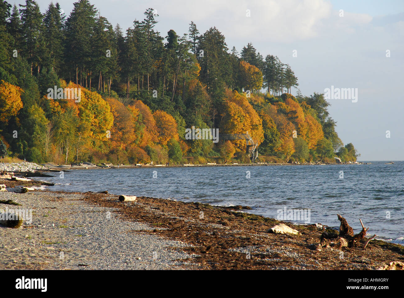 Trees begin to show Fall colours at Crescent Beach in Surrey, British ...