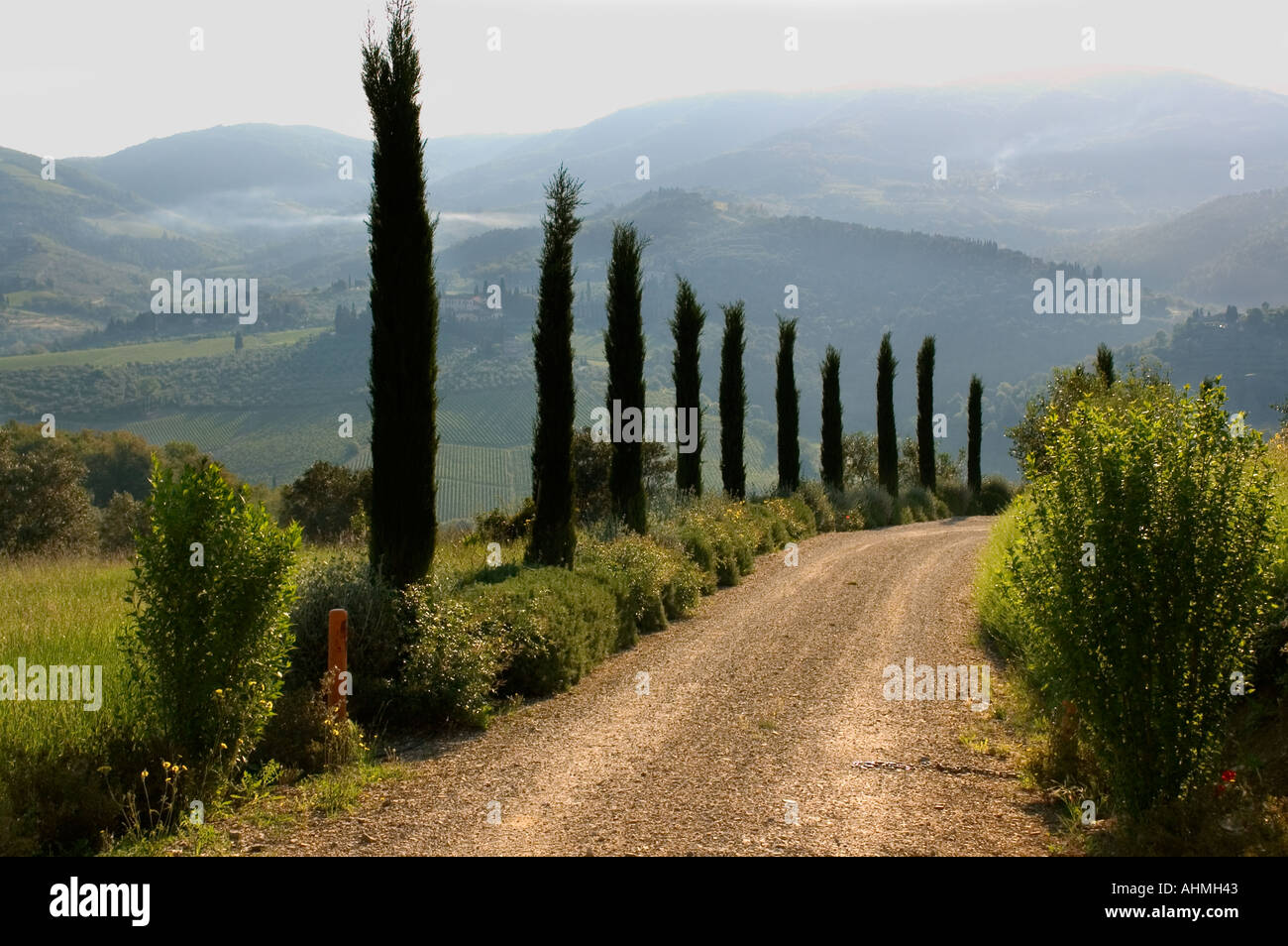 Manor house trees landscape hi-res stock photography and images - Alamy
