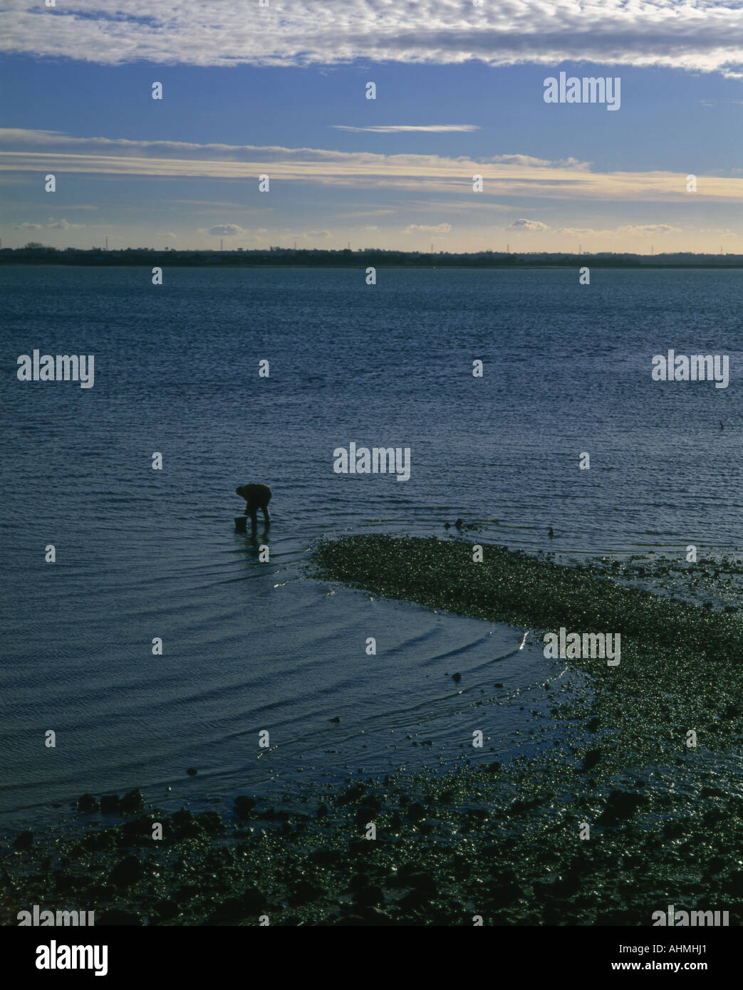 Digging for worms hi-res stock photography and images - Alamy