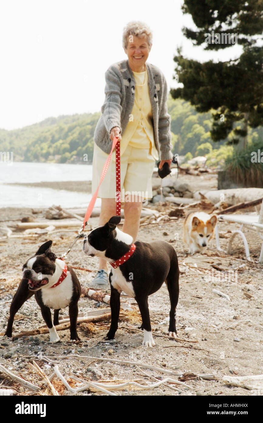 Female woman lady walking dogs hi-res stock photography and images - Alamy