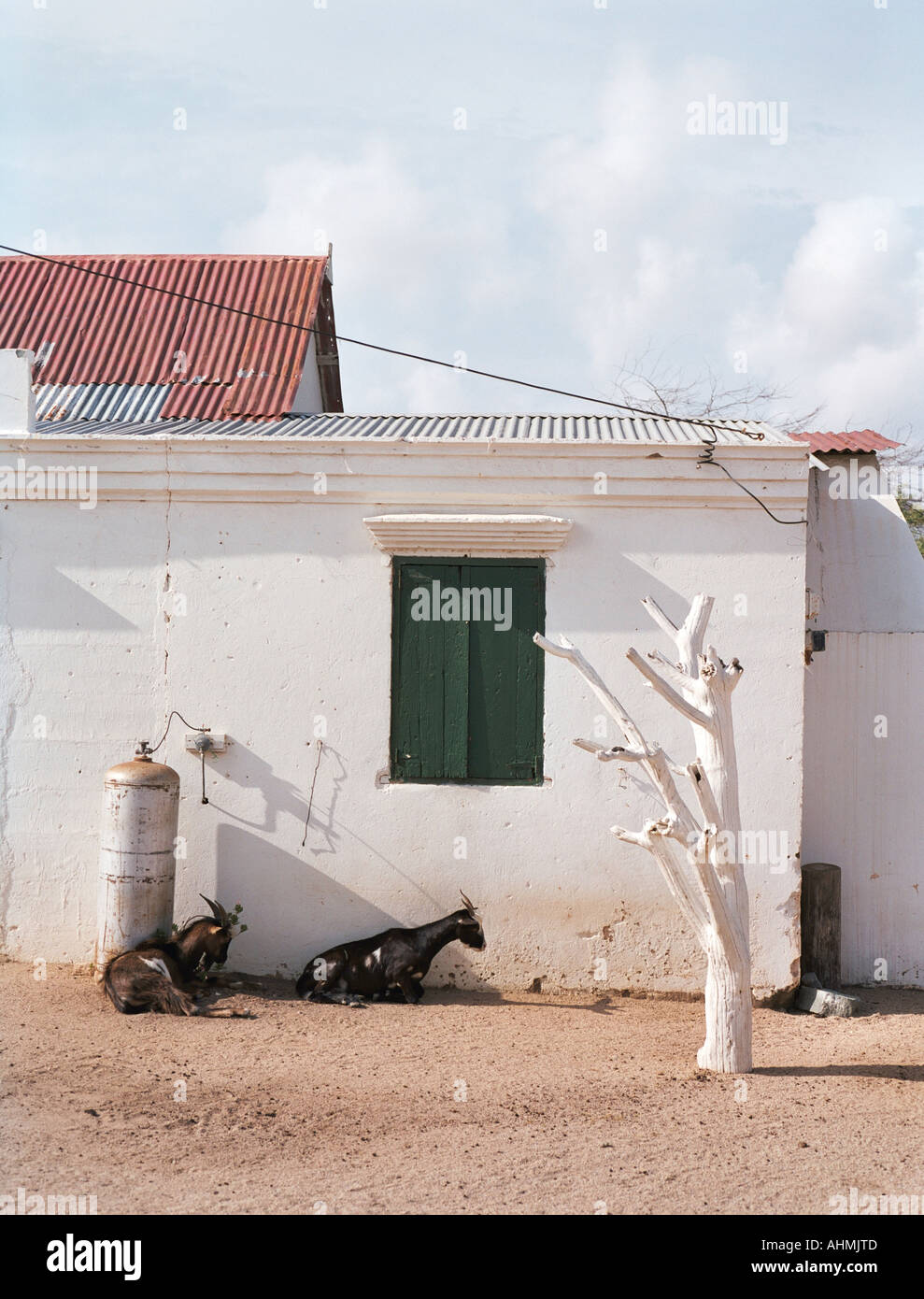 House goats hi-res stock photography and images - Alamy
