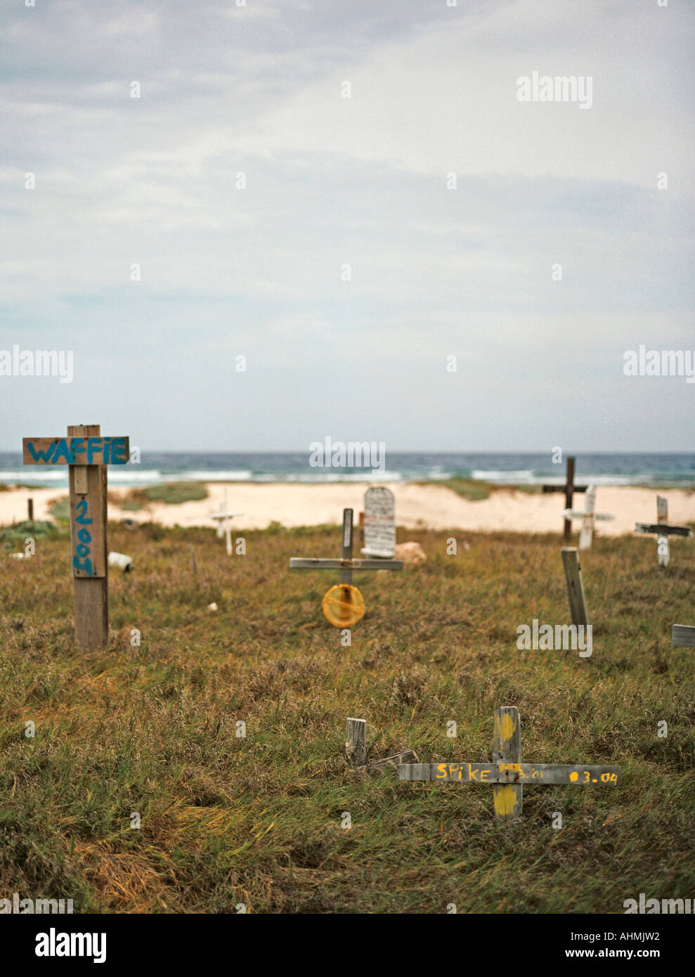 Arubas hi-res stock photography and images - Alamy