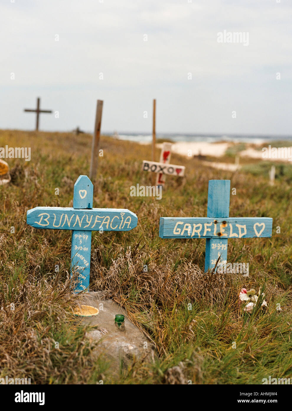 A pet cemetery along Aruba's Caribbean coastline Stock Photo - Alamy