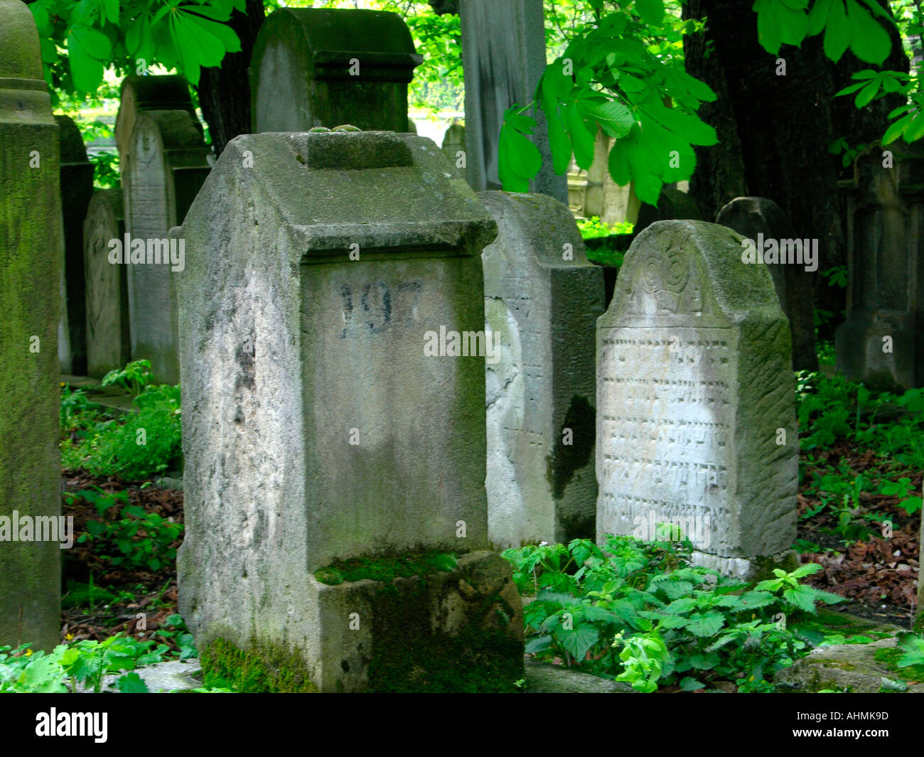 Tarnow cemetery hi-res stock photography and images - Alamy