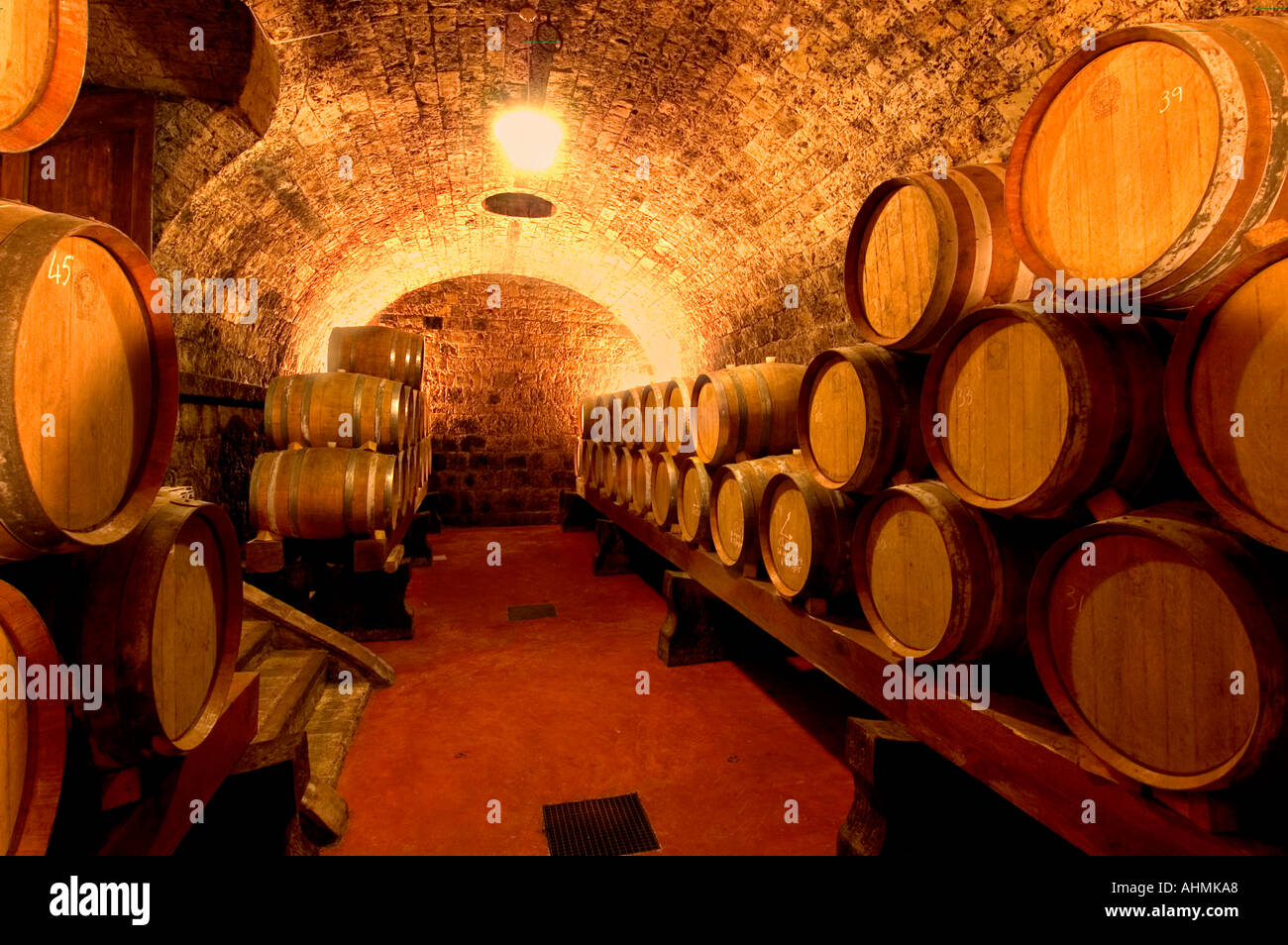 Wine Cellar Little Italy San Diego at Landon Artis blog