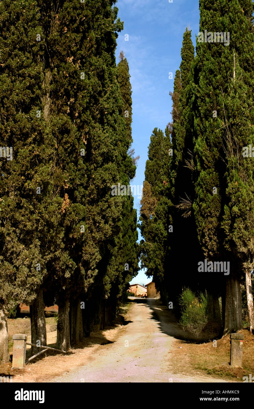 Tuscany italy italian house mansion trees hi-res stock photography and ...