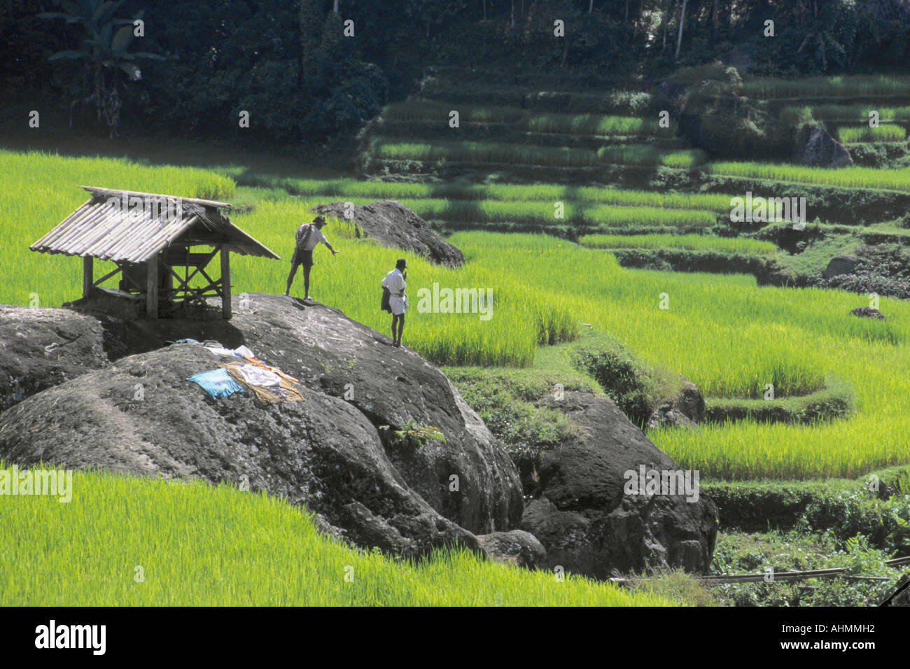 Lempo hi-res stock photography and images - Alamy