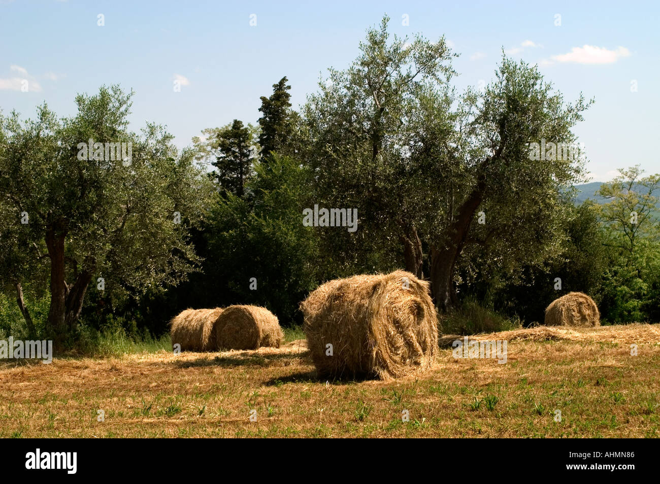 Tuscany Italy Farm Farmer Country Italian hay Stock Photo - Alamy