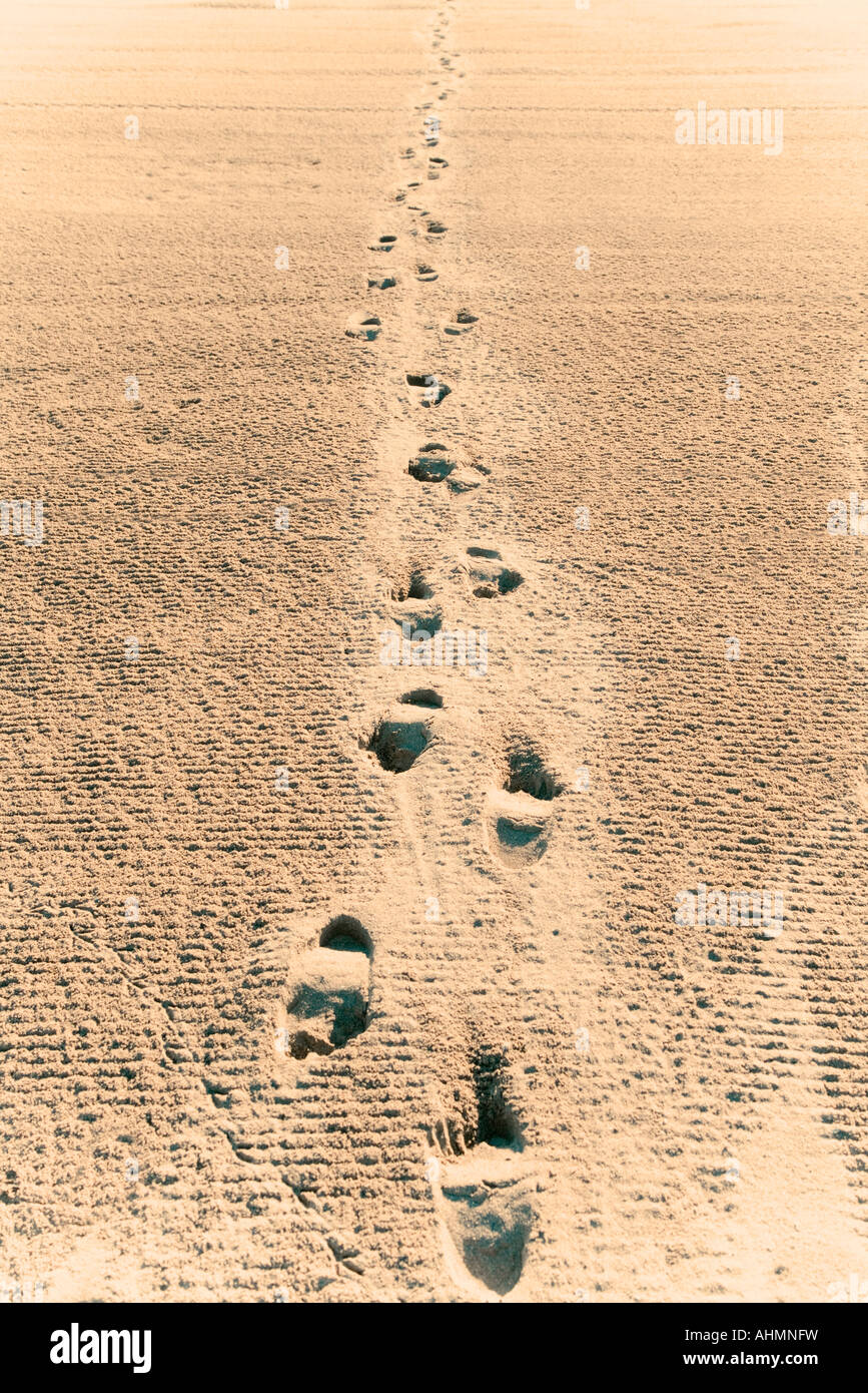 Tracks in desert sand Stock Photo - Alamy