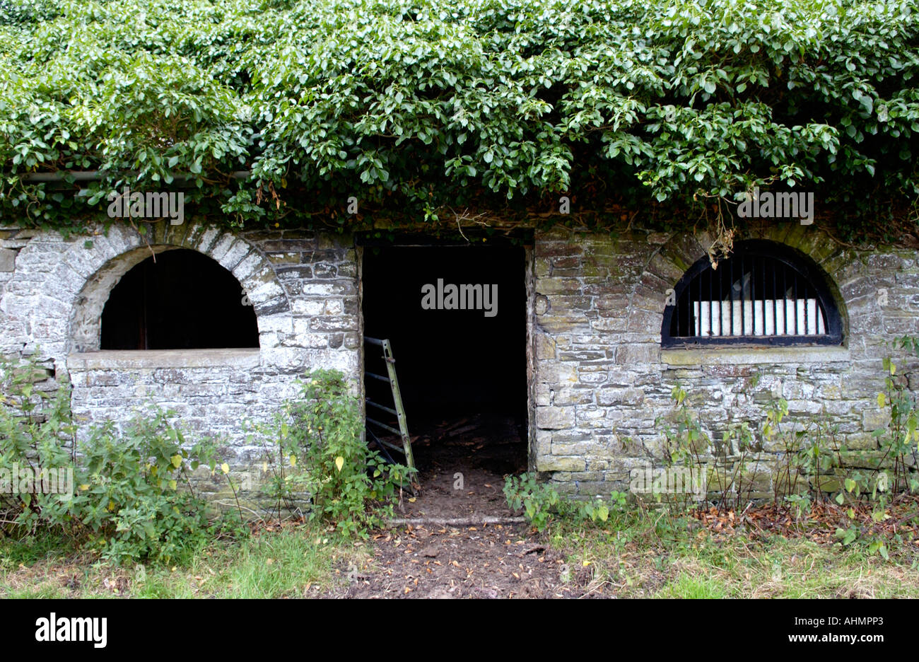 Derelict building carmarthenshire wales hi-res stock photography and ...