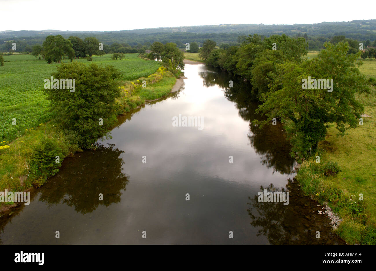 River Towy at Llandeilo Carmarthenshire West Wales UK Stock Photo - Alamy
