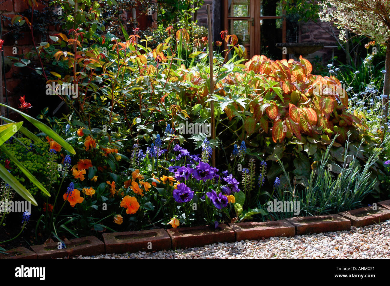 Spring flowers in an English cottage garden Stock Photo - Alamy