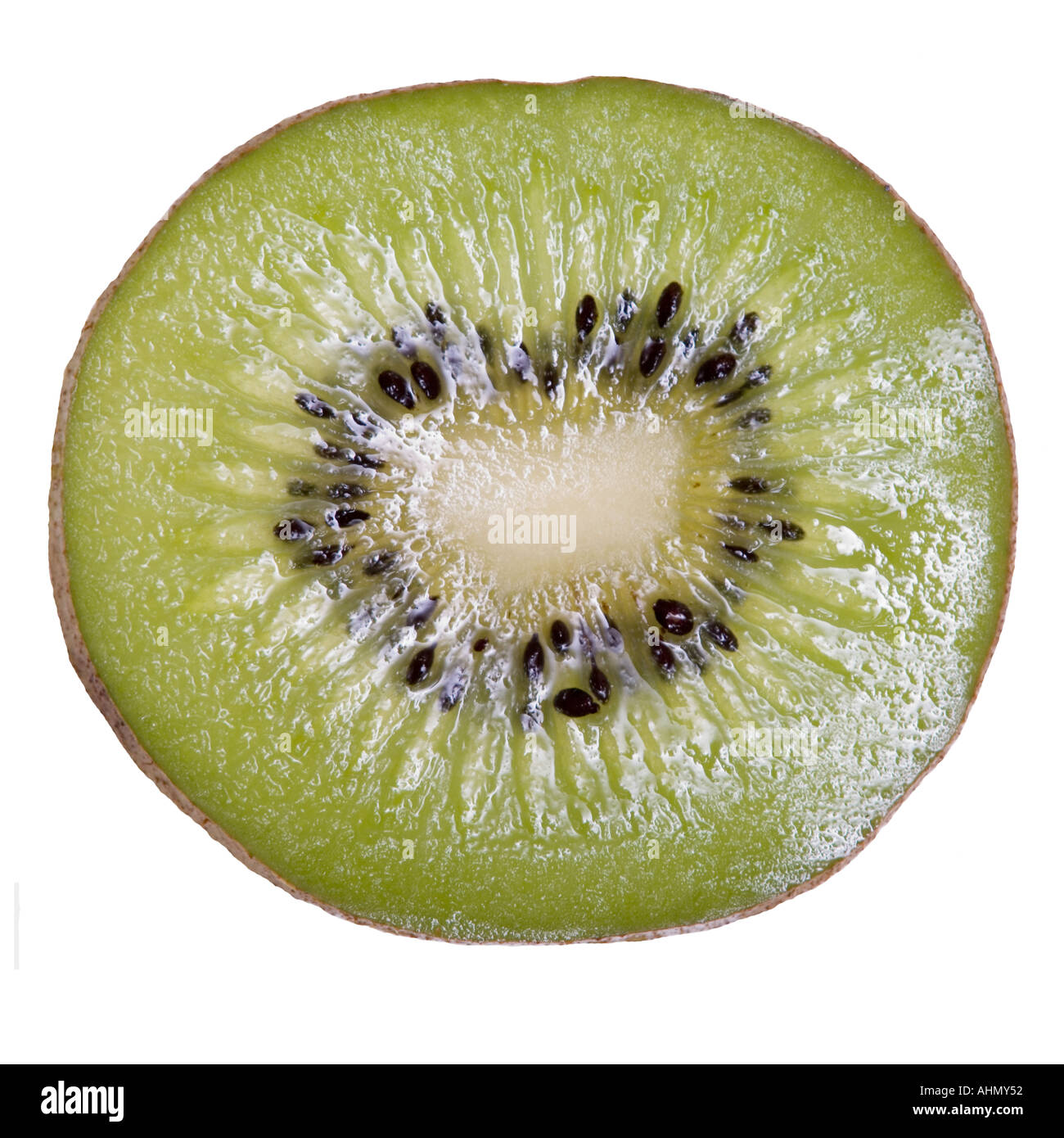 C chinensis Cut Out Stock Images & Pictures - Alamy