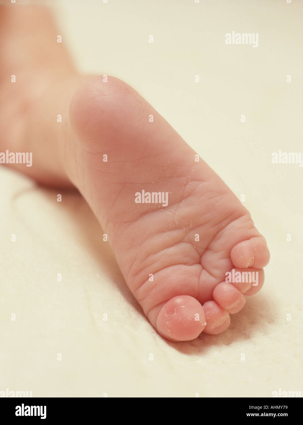 5 week old baby boys foot Stock Photo - Alamy