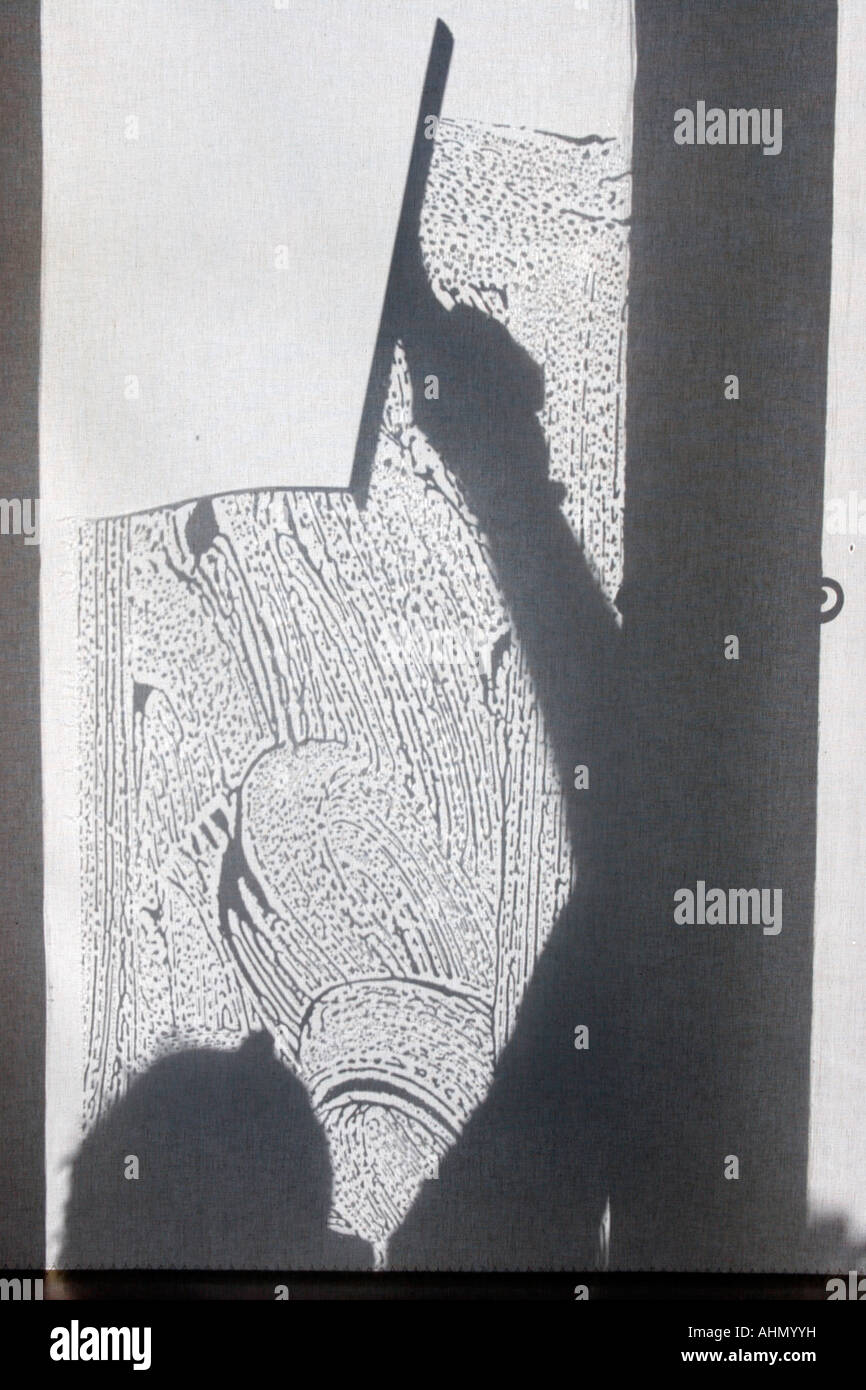 Silhouette of a window cleaner Stock Photo - Alamy