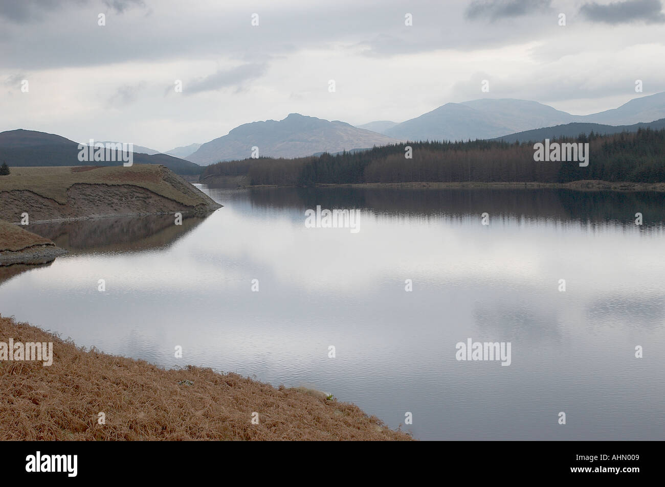 Dammed loch hi-res stock photography and images - Alamy