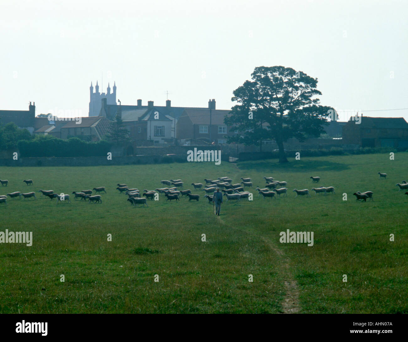 Sedgefield Durham Stock Photos & Sedgefield Durham Stock Images - Alamy