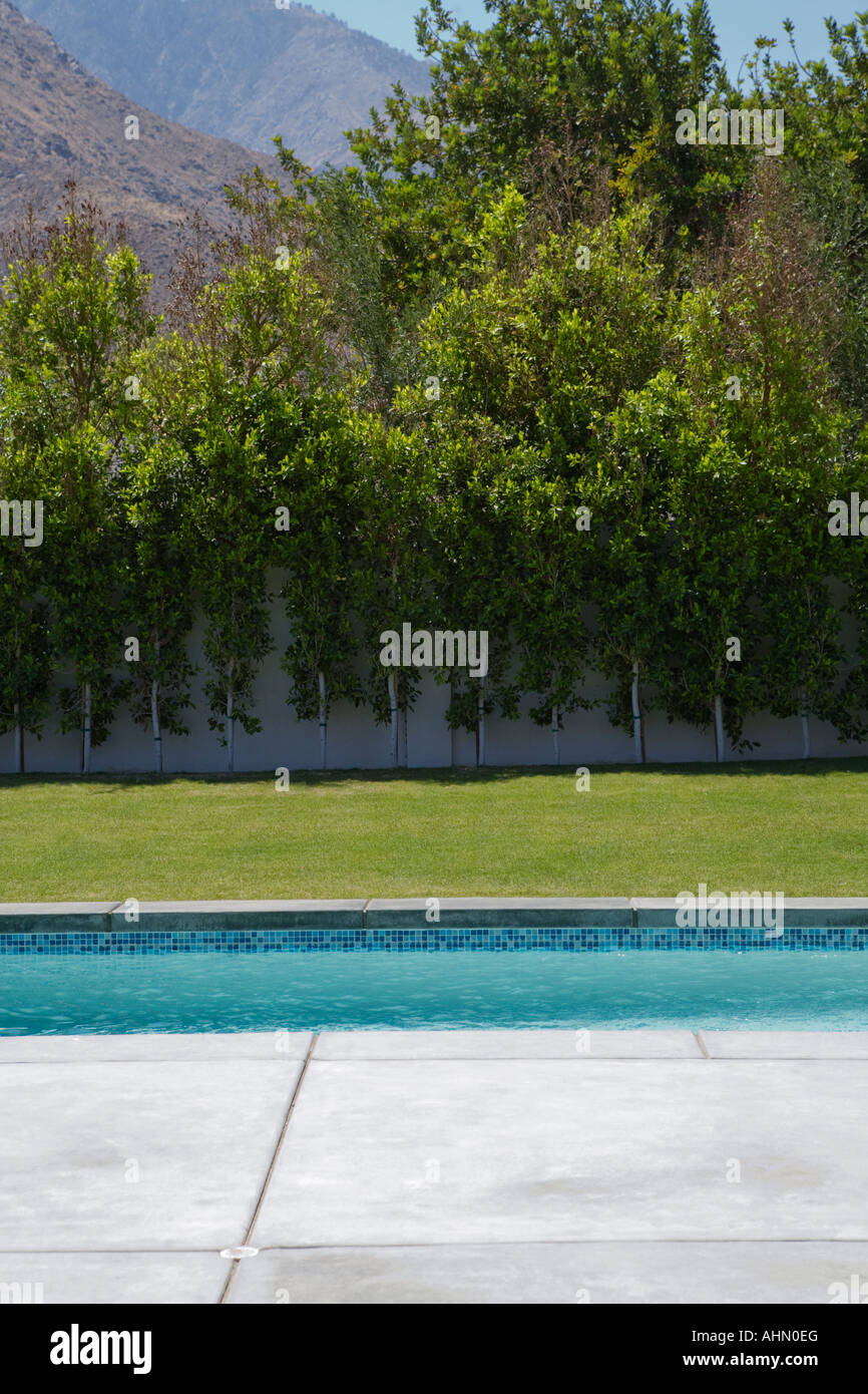 Empty swimming pool Stock Photo - Alamy