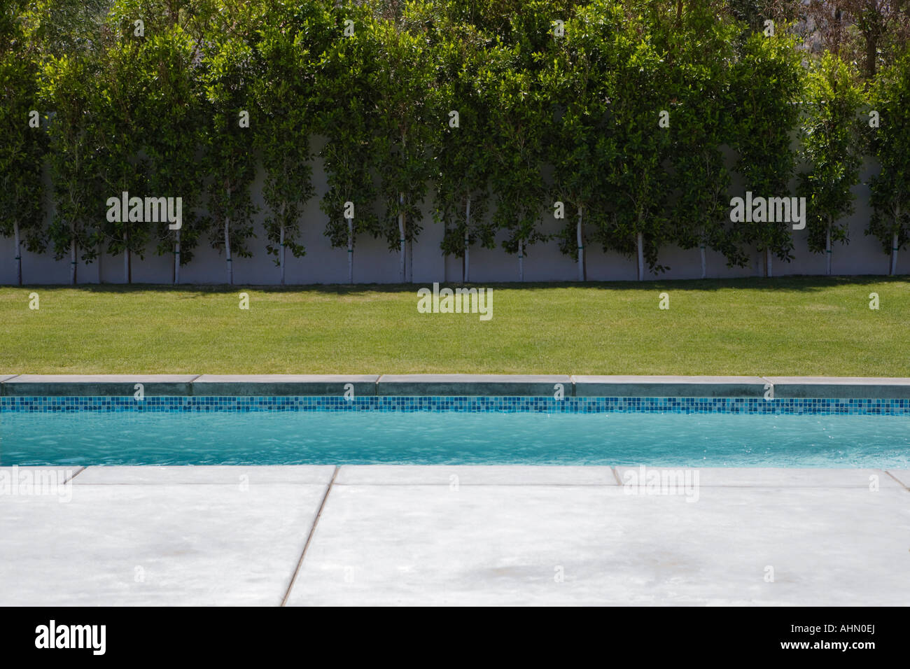 Empty swimming pool Stock Photo - Alamy