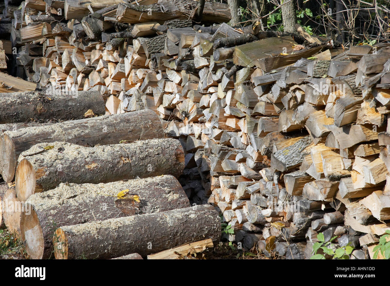 Vegetation pile hi-res stock photography and images - Alamy