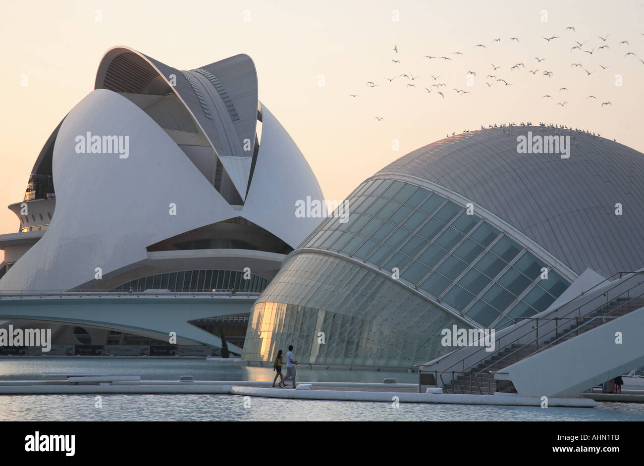 Opera House and IMAX Cinema, Arts and Science City from Architect ...
