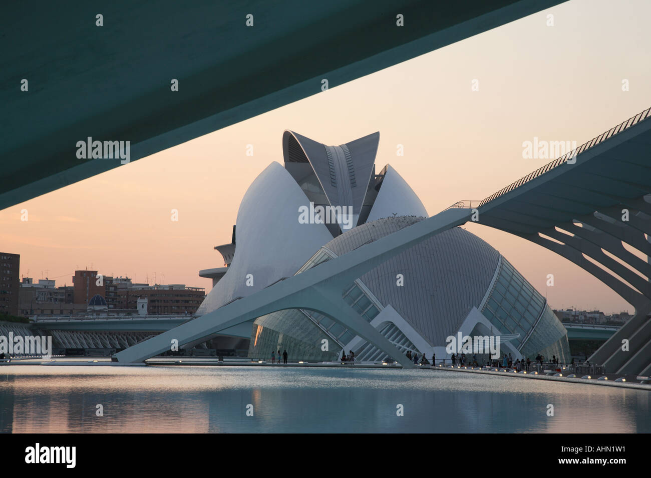 Opera House and IMAX Cinema, Arts and Science City from Architect ...