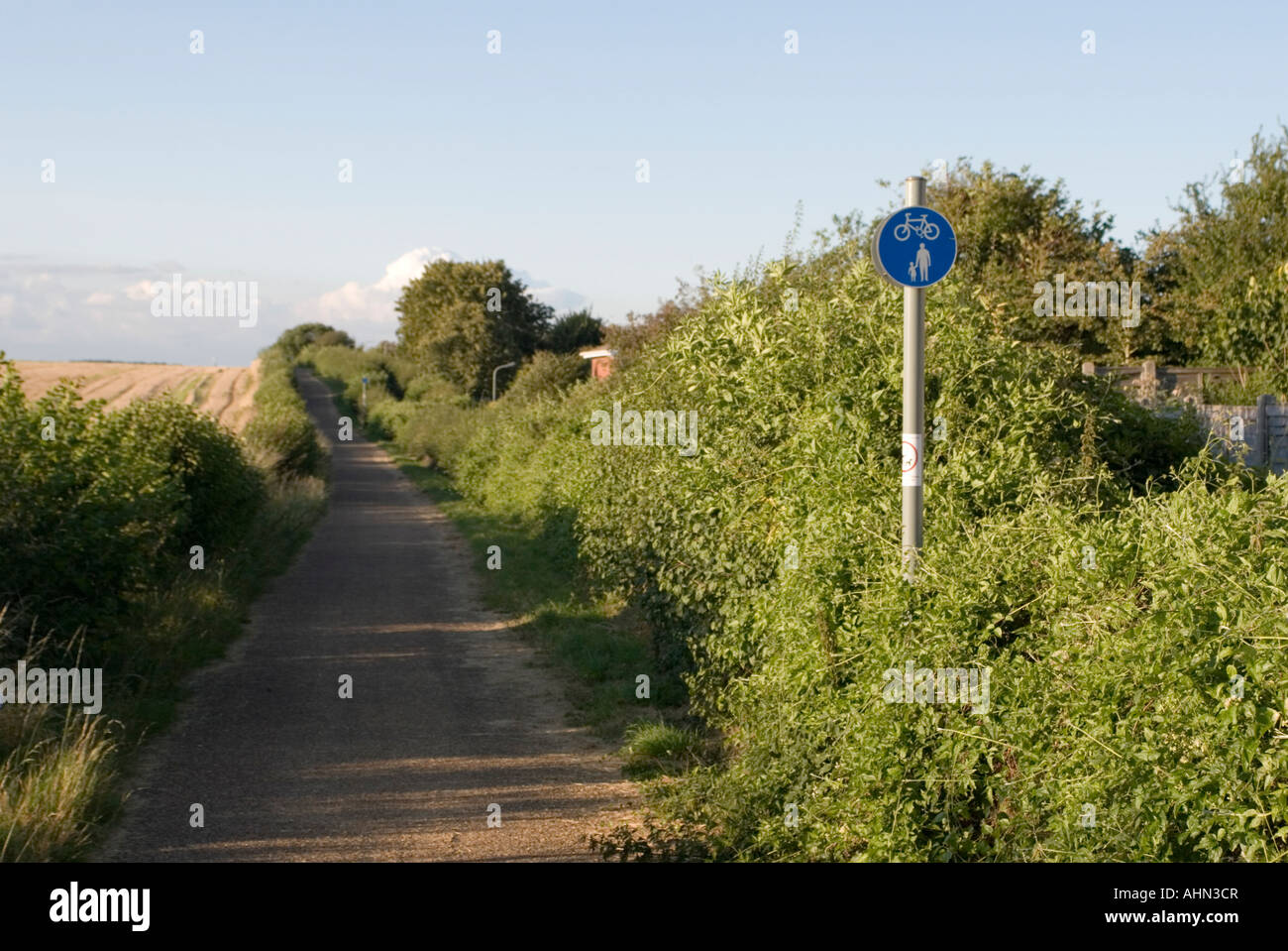 Cycle lane and footpath on outskirts of Basingstoke Stock Photo - Alamy