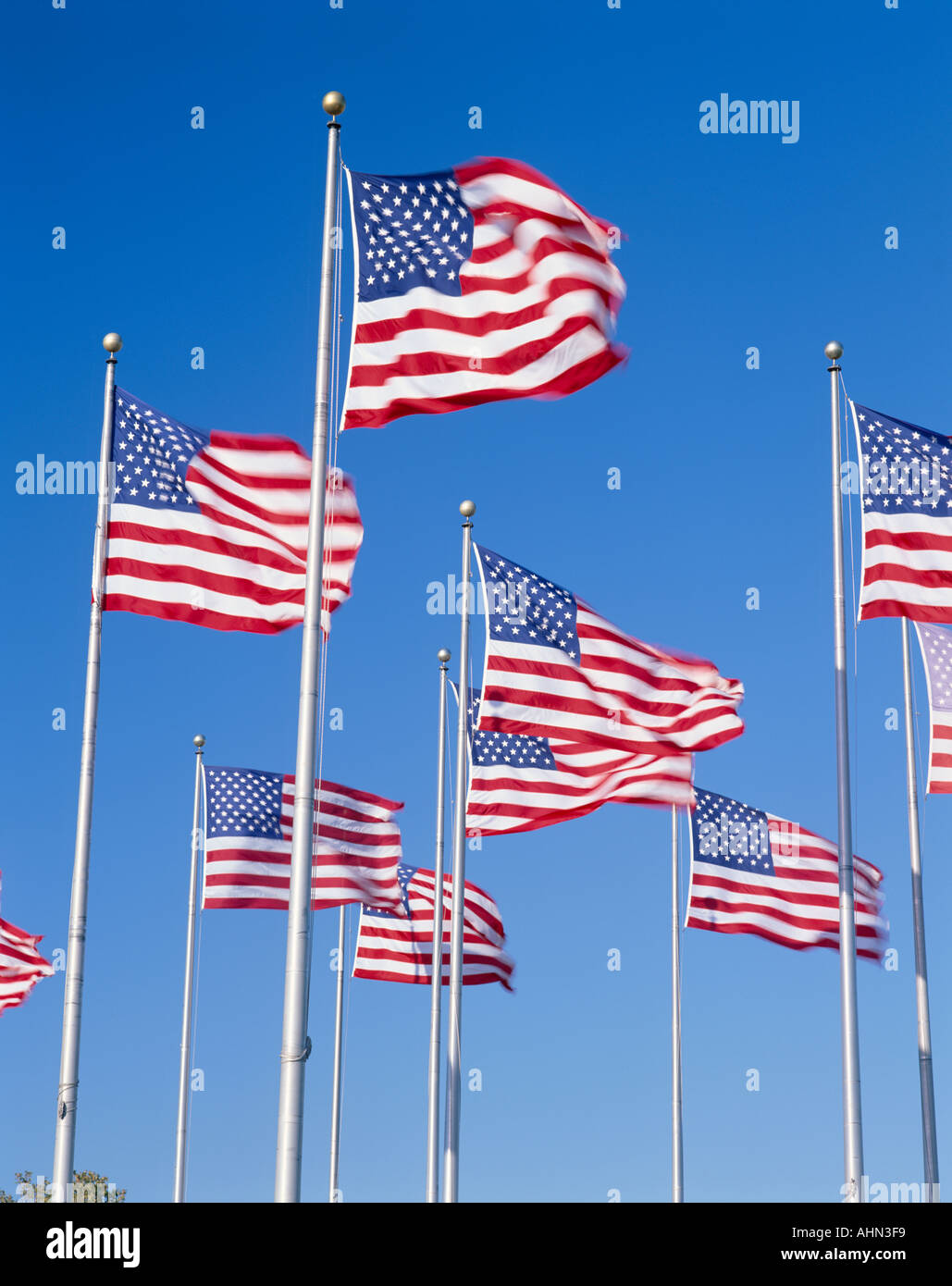 Stars and strips american flag usa Stock Photo - Alamy