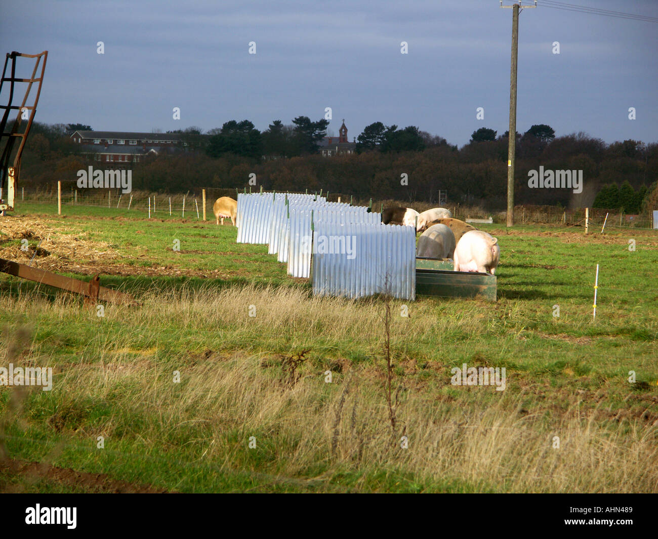 Animal arks High Resolution Stock Photography and Images - Alamy