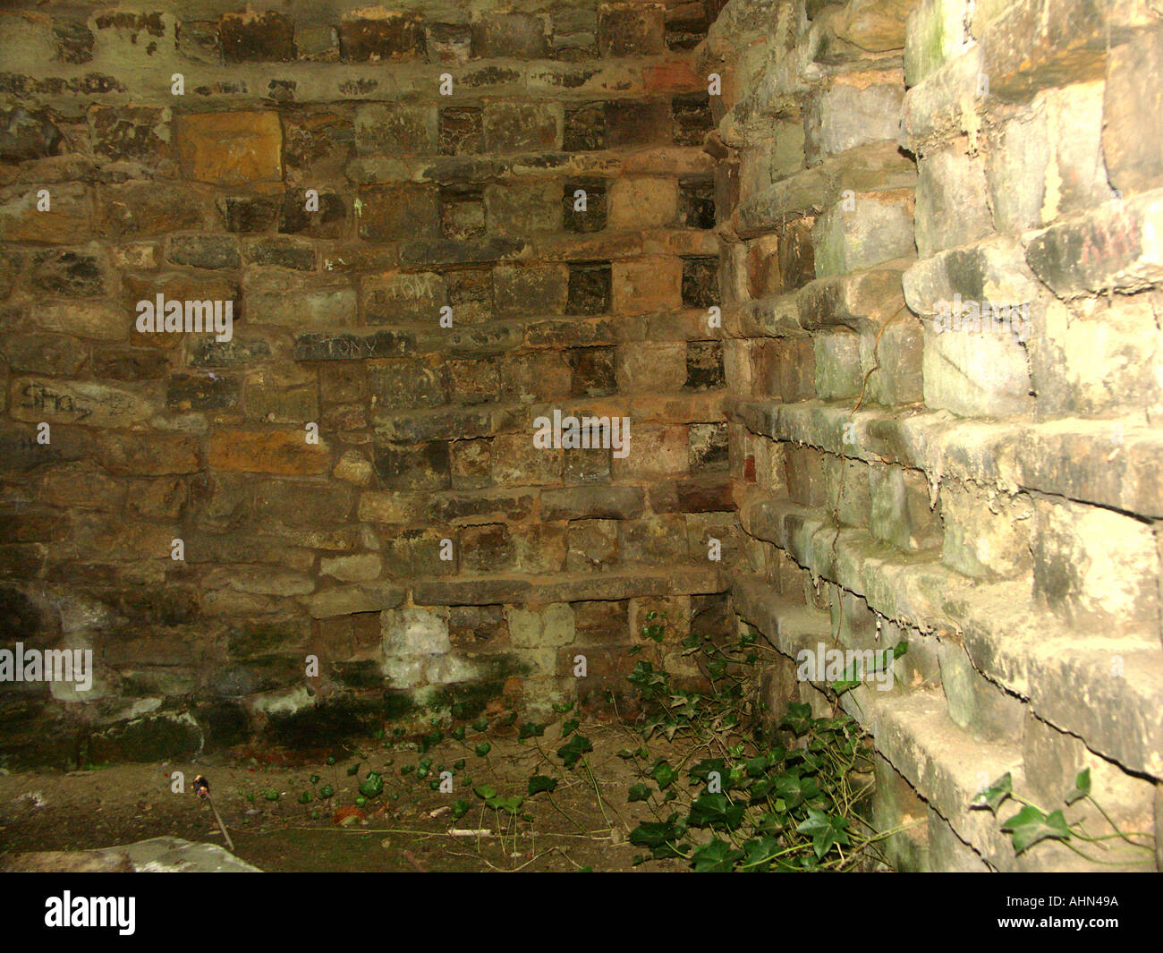 Interior of old Dovecote at Alvecote Priory Stock Photo - Alamy