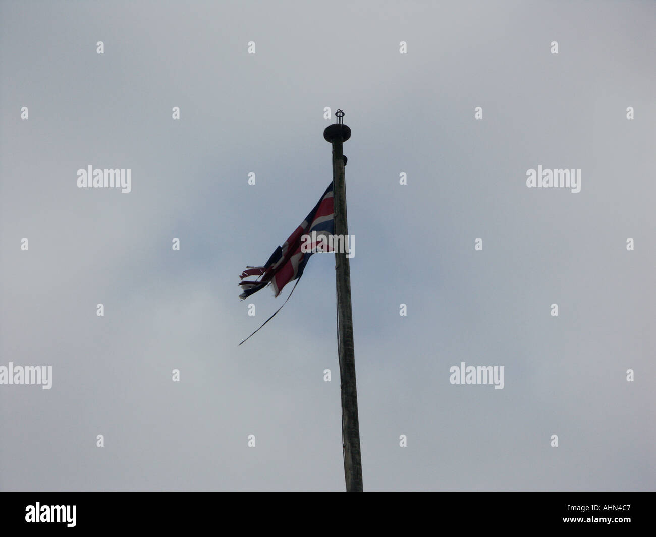 Tattered Union Jack Flag shredded and torn by constant fluttering in ...